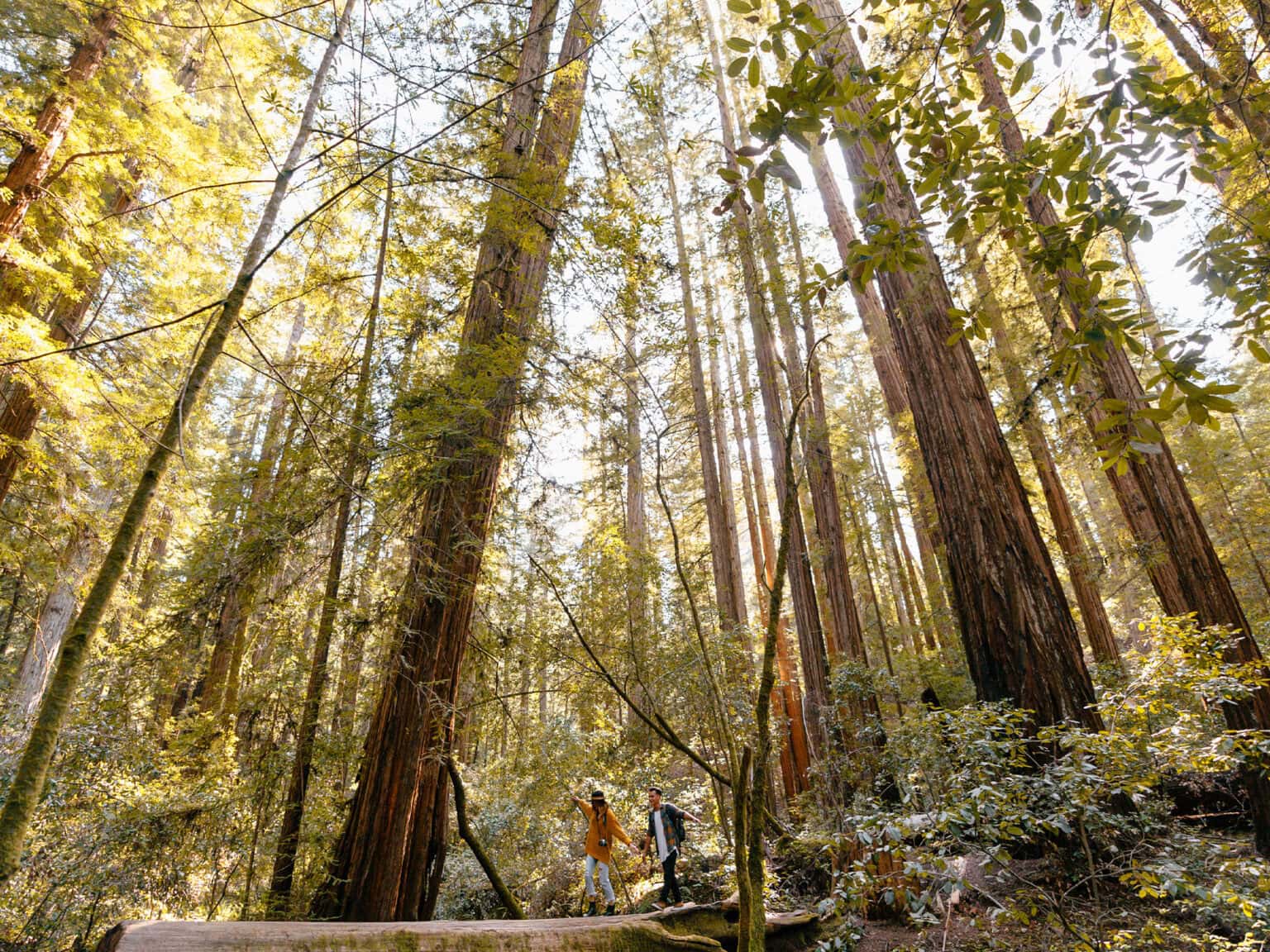 Monte Rio - Sonoma County Tourism