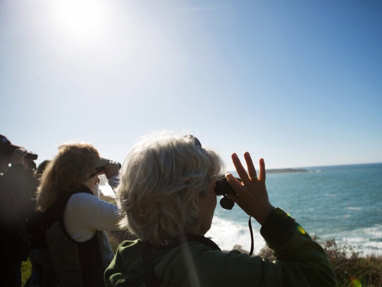 6 Fun Things to Do in Bodega Bay - Sonoma County Tourism