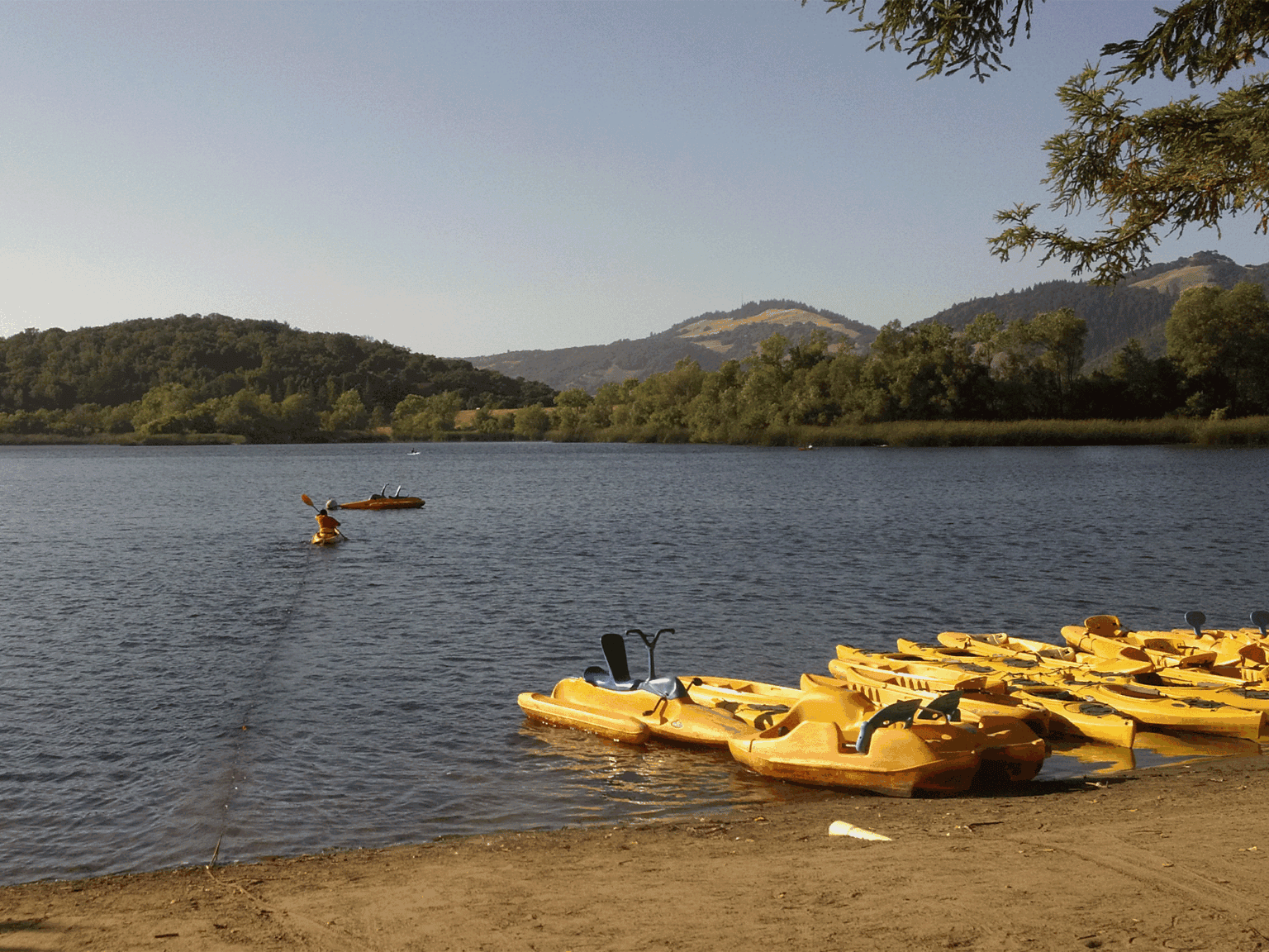 Outdoor Family Fun at Spring Lake Regional Park - Sonoma County Tourism