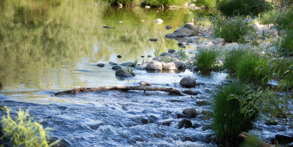 Rooster Run Golf Club - Sonoma County Tourism