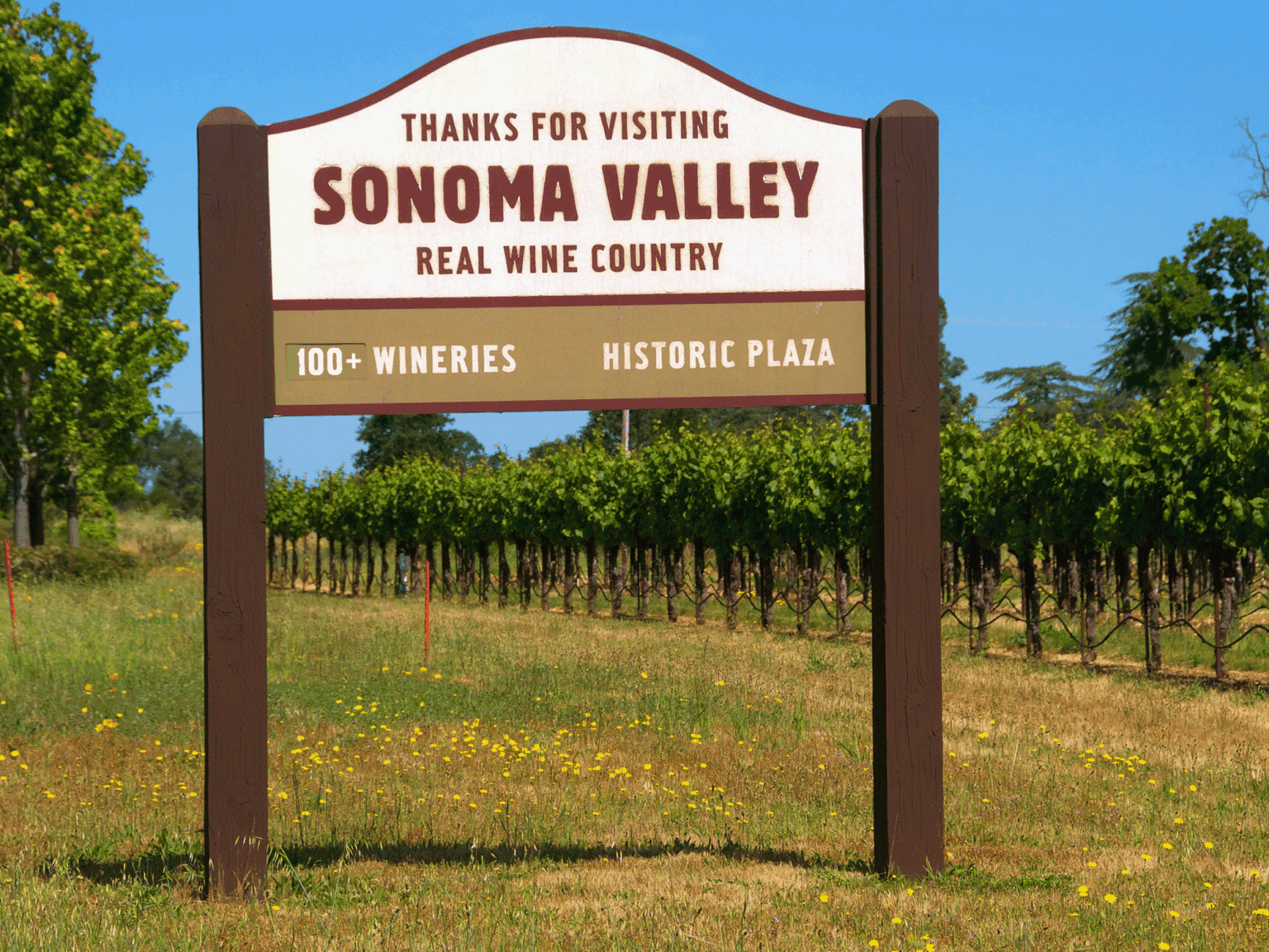 AVA Wines of the Sonoma Valley Wine Region