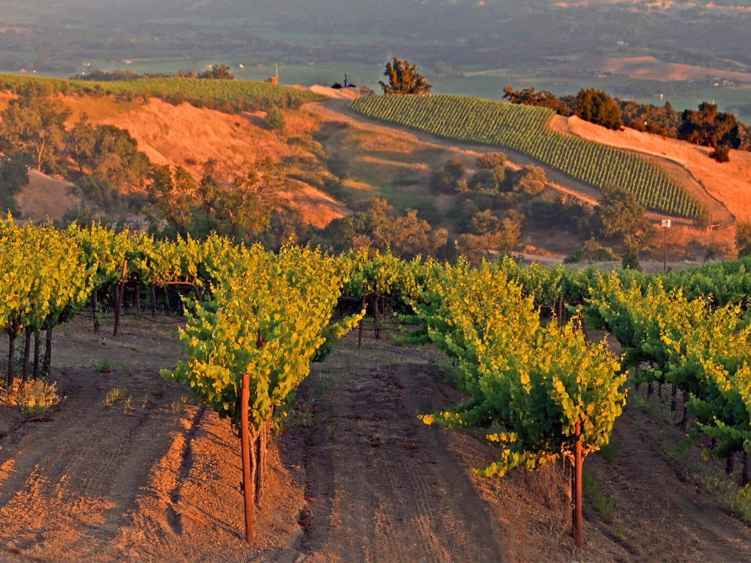 Discover Healdsburg, CA | Sonoma County Tourism