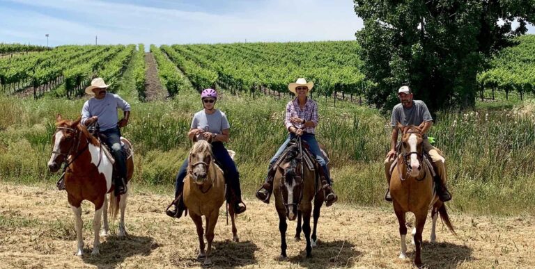 "middle ridge winery" - Sonoma County Tourism