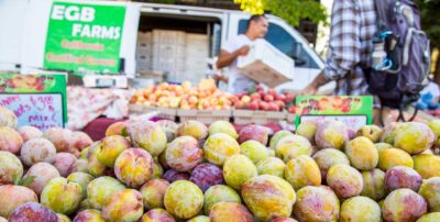 Santa Rosa - Sonoma County Tourism