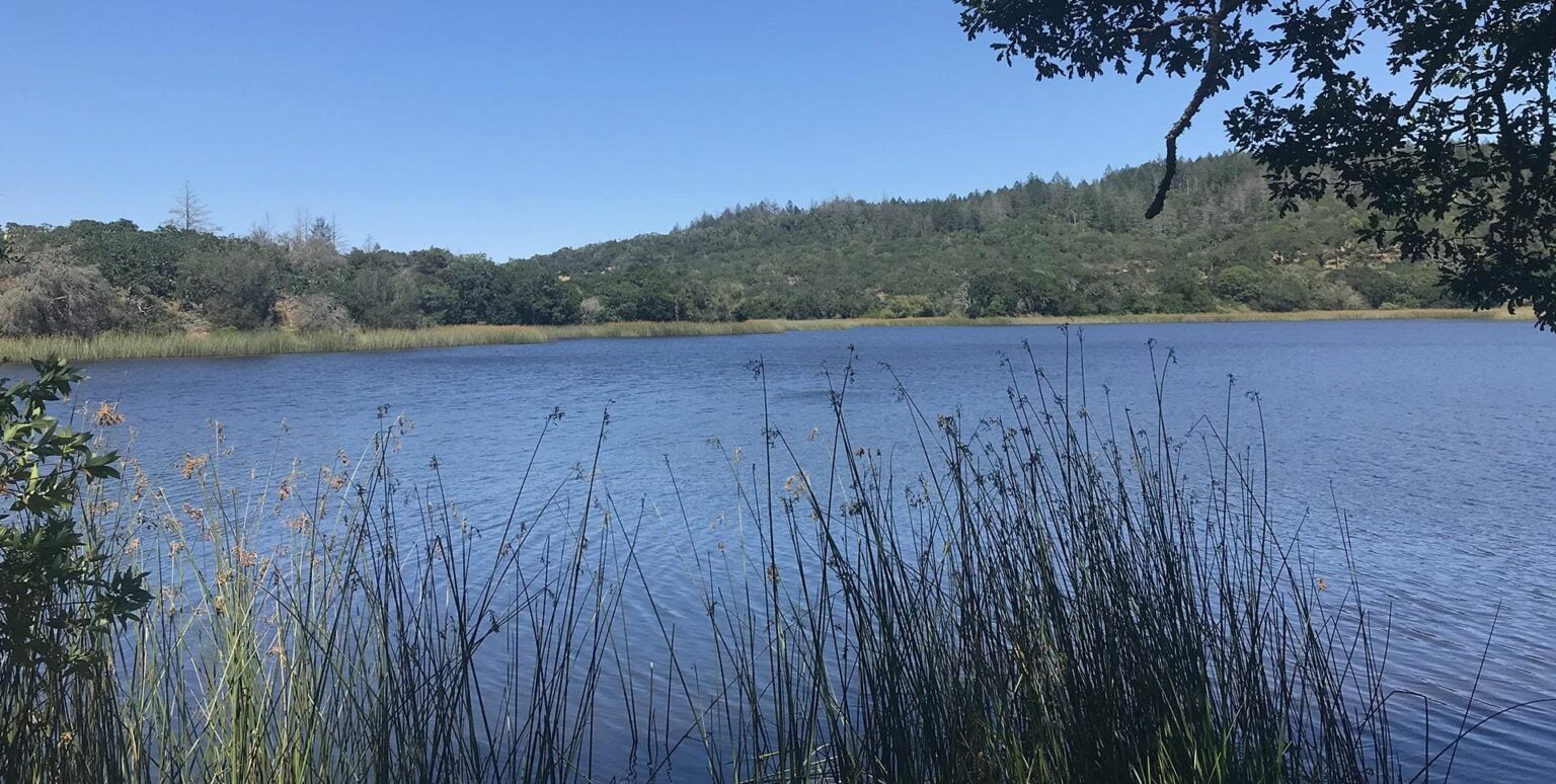 Outdoor Family Fun at Spring Lake Regional Park - Sonoma County Tourism