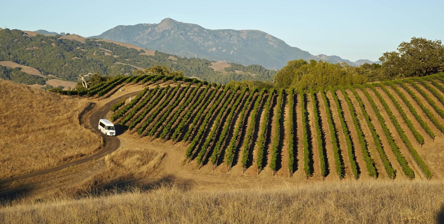 Guide to Wine Tasting in Petaluma - Sonoma County Tourism