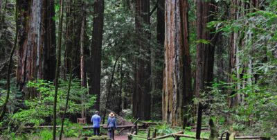 Groome Transportation - Sonoma County Tourism