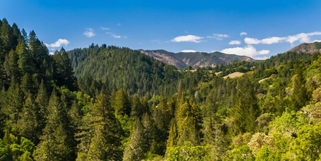 Guerneville - Sonoma County Tourism