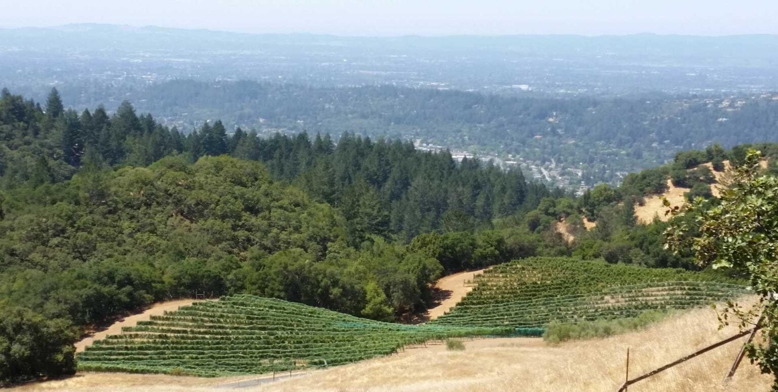 Wine Areas (AVAs) - Sonoma County Tourism