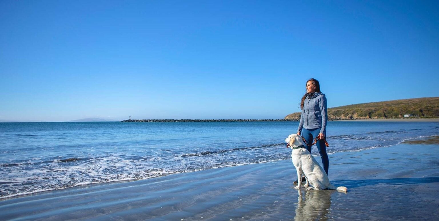 "anna vlasova video" - Sonoma County Tourism