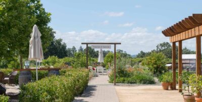 "nvidia filters utility rtx dynamic vibrance" - Sonoma County Tourism