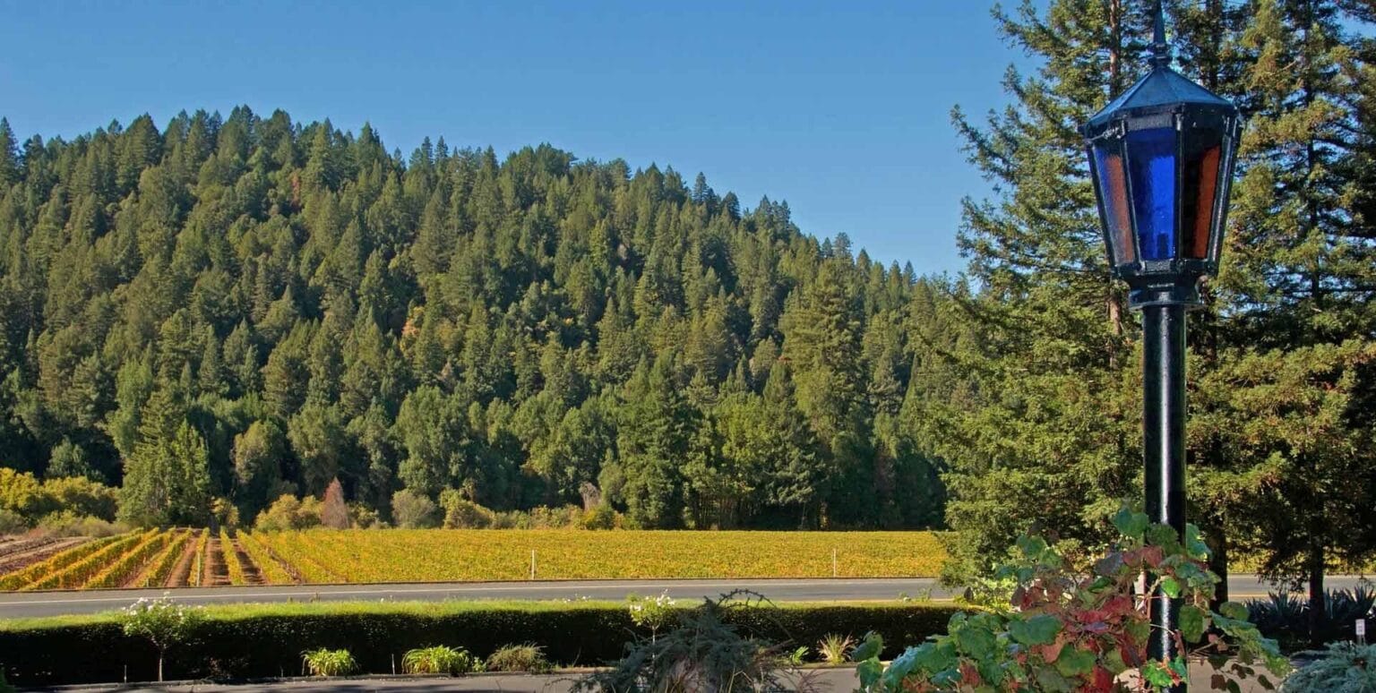 Guerneville - Sonoma County Tourism