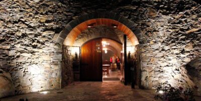 Outdoor Family Fun at Spring Lake Regional Park - Sonoma County Tourism