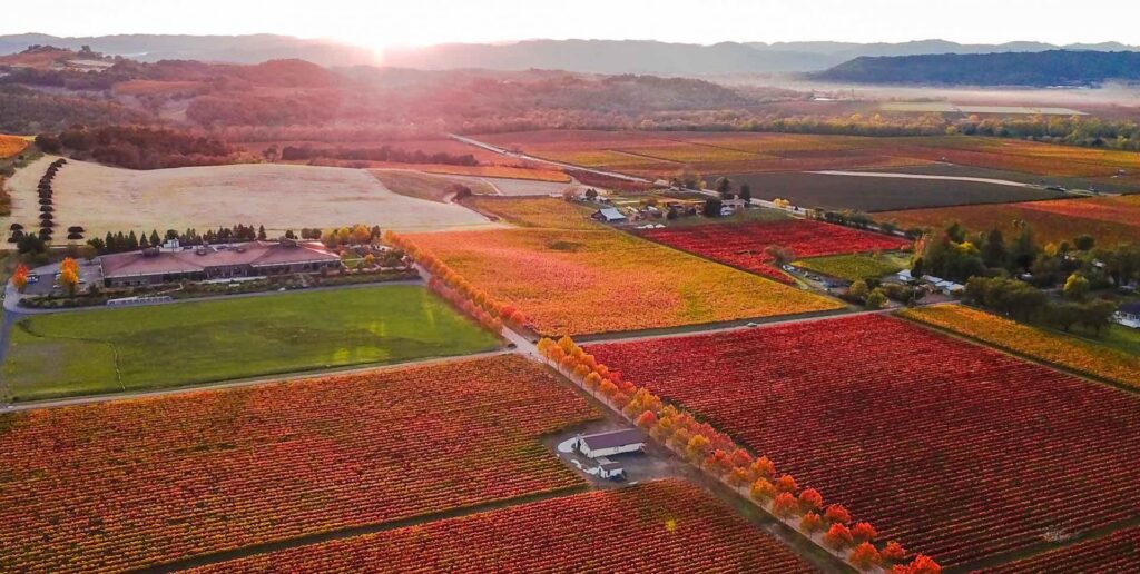 Aperture Cellars - Sonoma County Tourism