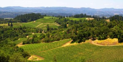 "groome" - Sonoma County Tourism