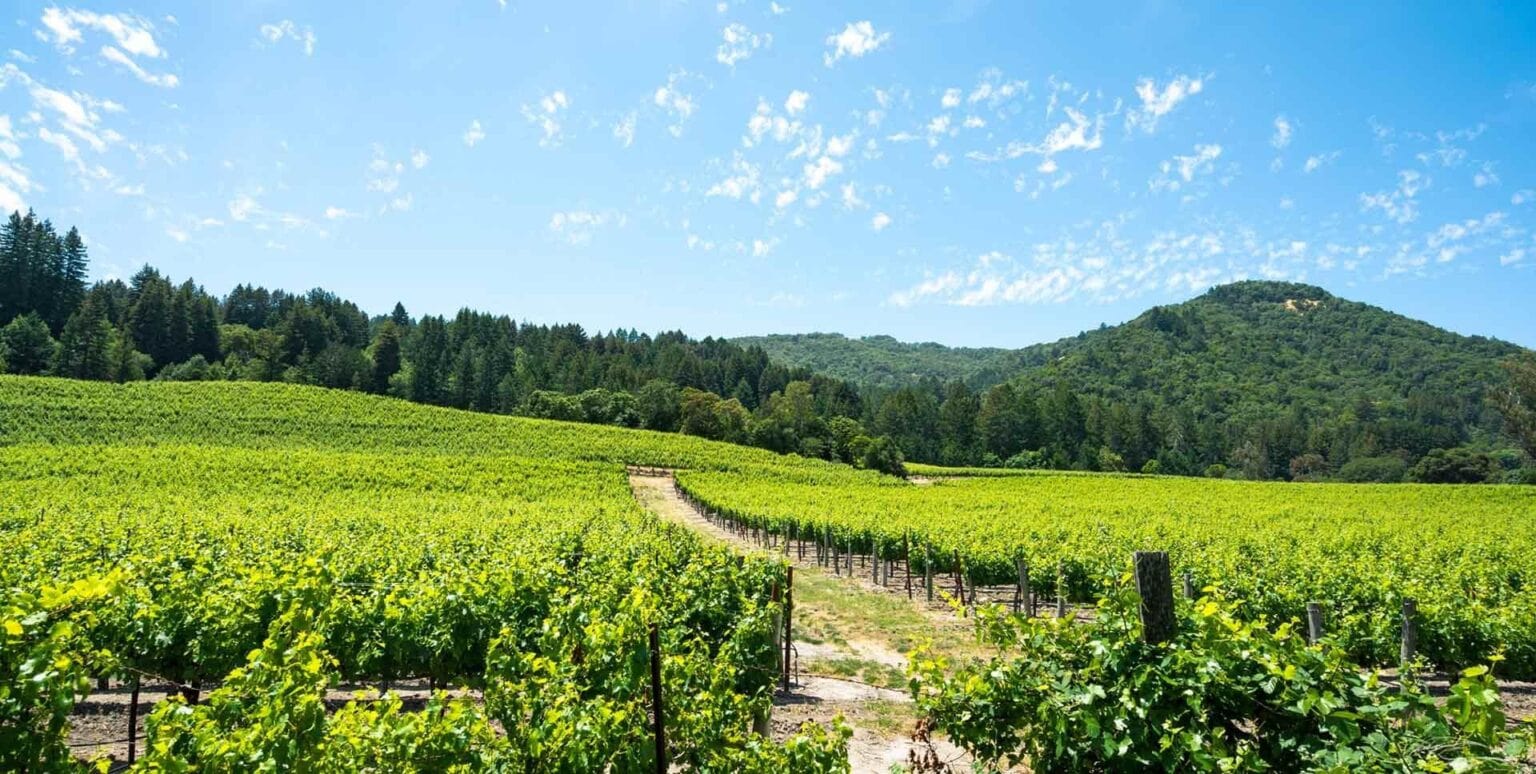 "map of sonoma wineries" - Sonoma County Tourism