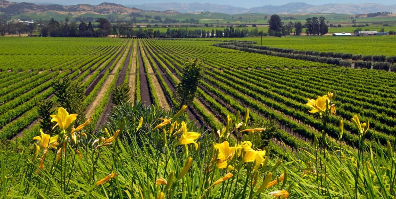 Groome Transportation - Sonoma County Tourism