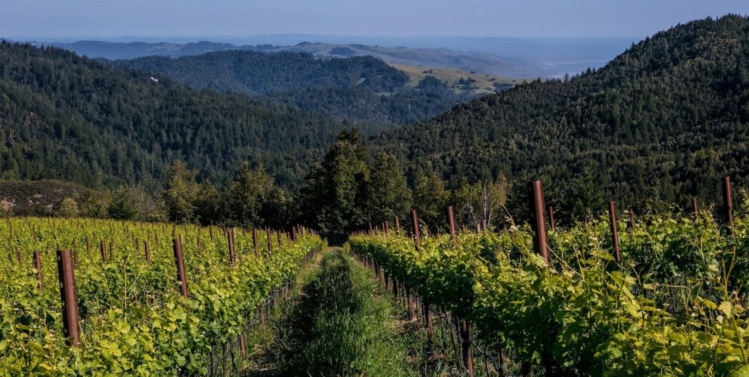 Wine & Wineries - Sonoma County Tourism