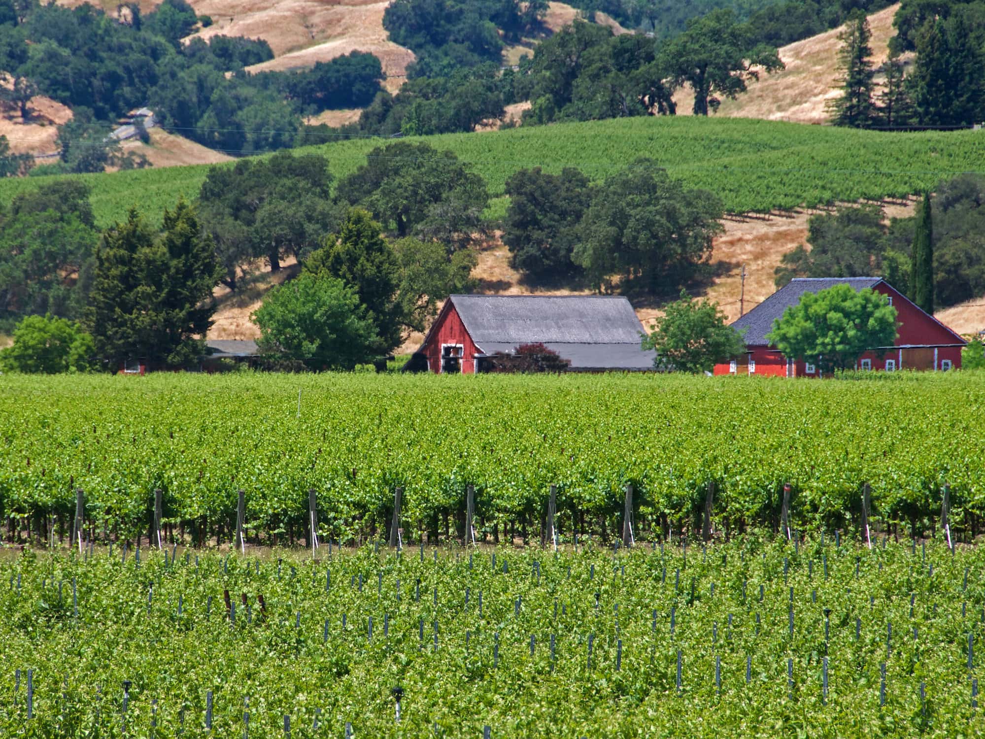 Soulful Travel: Alexander Valley - Sonoma County Tourism