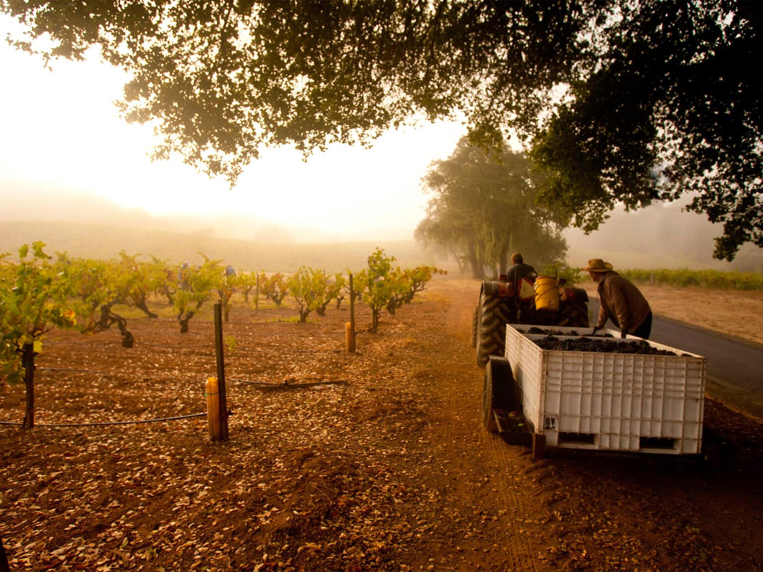 Sonoma County Tourism