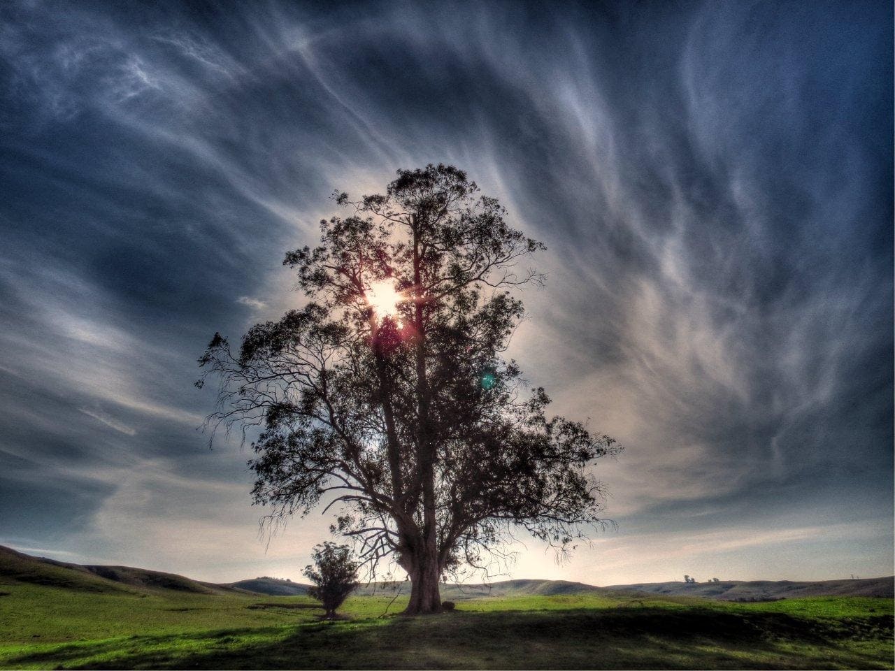 Soulful Travel: Tolay Lake Regional Park - Sonoma County Tourism
