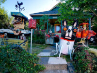 6 Fun Things To Do in Sebastopol - Sonoma County Tourism