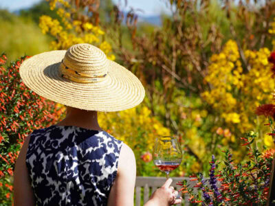 "local events near me next weekend" - Sonoma County Tourism
