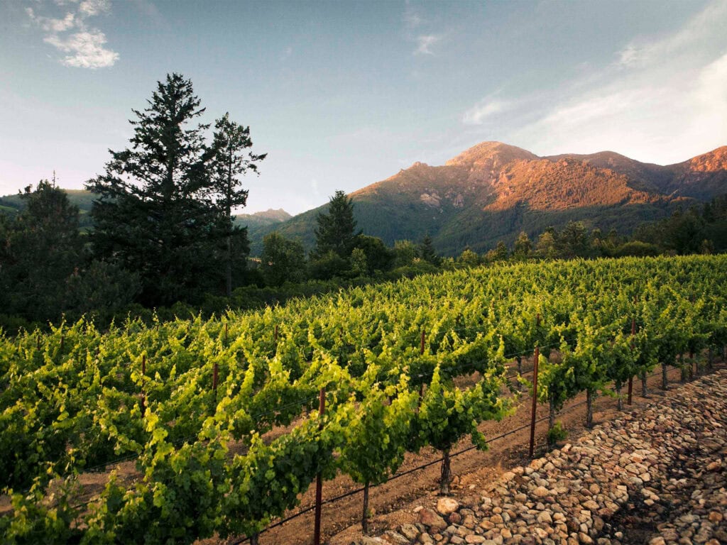 "map of sonoma wineries" - Sonoma County Tourism