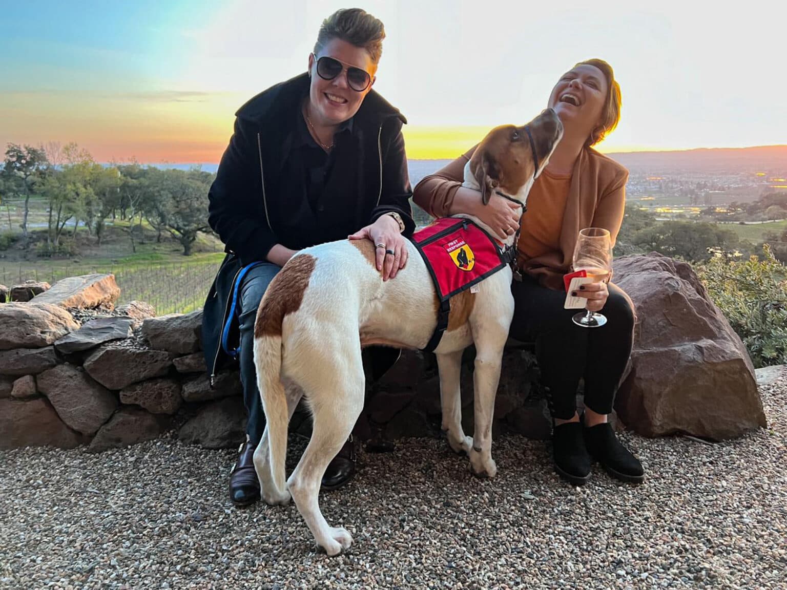 Top Wineries in Santa Rosa - Sonoma County Tourism