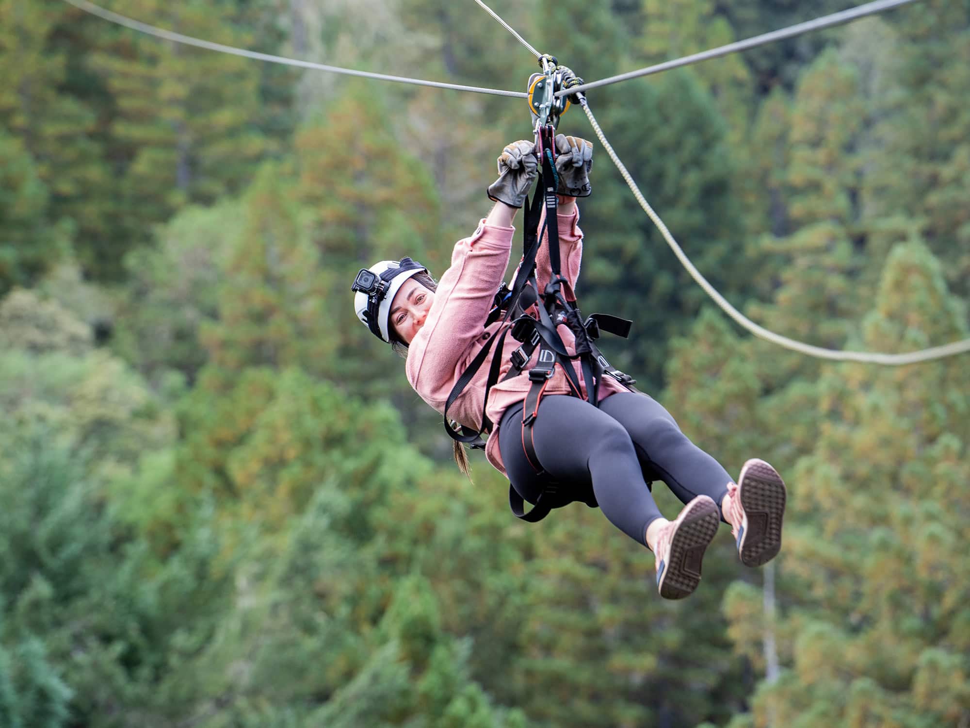 The Remarkable Redwoods - Sonoma County Tourism